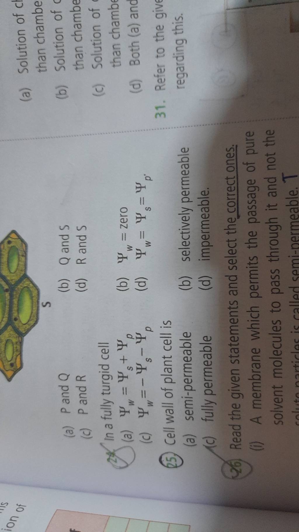 (25.) Cell wall of plant cell is 31. Refer to the give | Filo (25.) Cell wall of plant cell is 31. Refer to the give | Filo