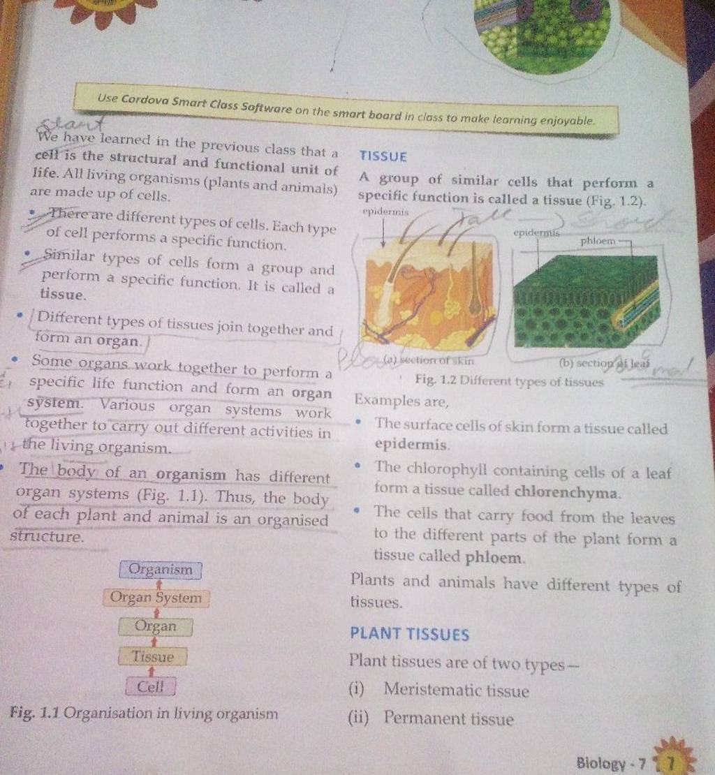Use Cordova Smart Class Software on the smart board in class to make lear..