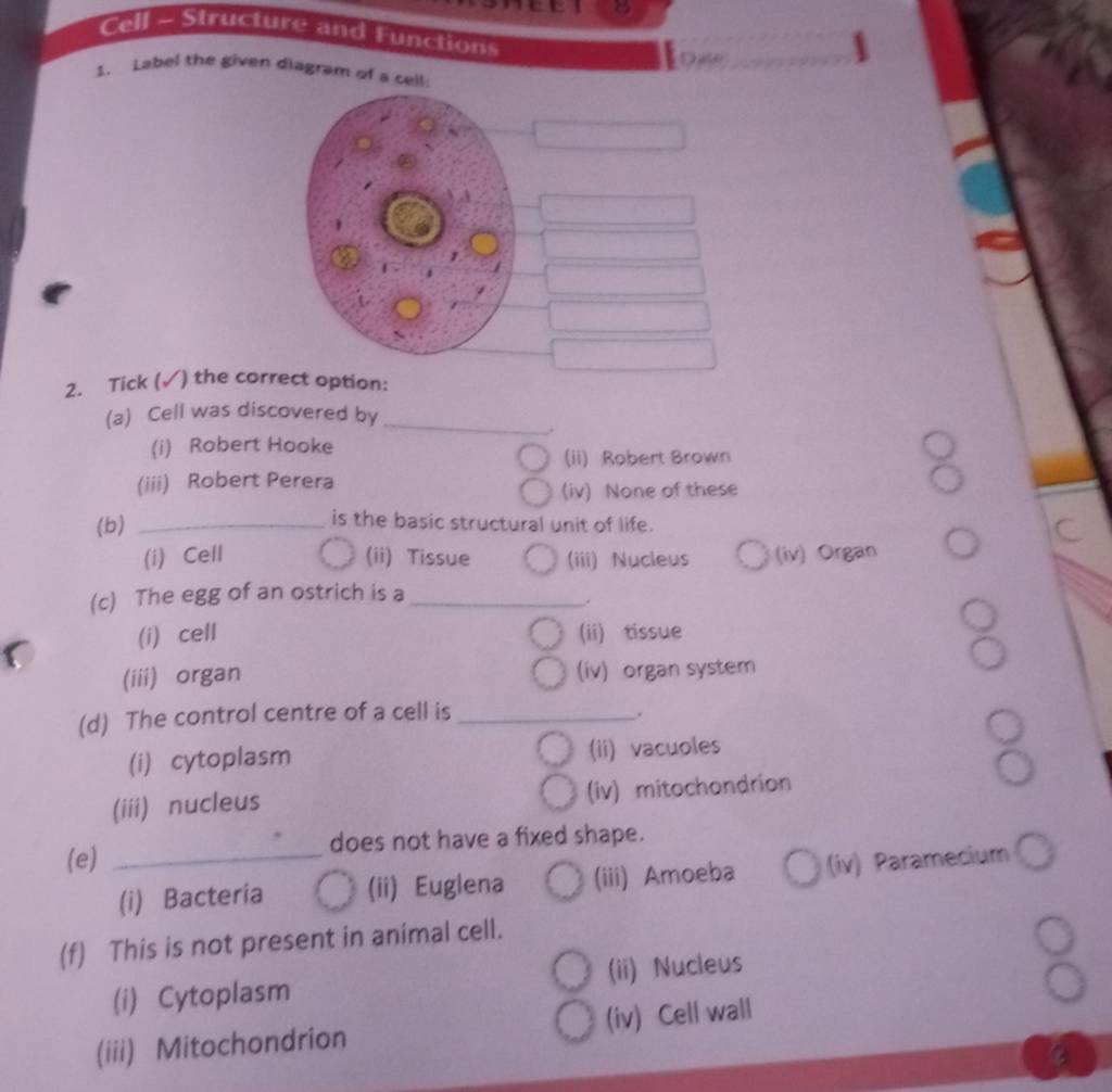 The control centre of a cell is | Filo