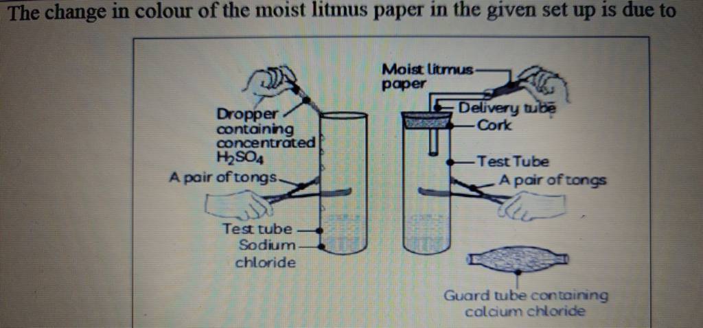 The change in colour of the moist litmus paper in the given set up is due..