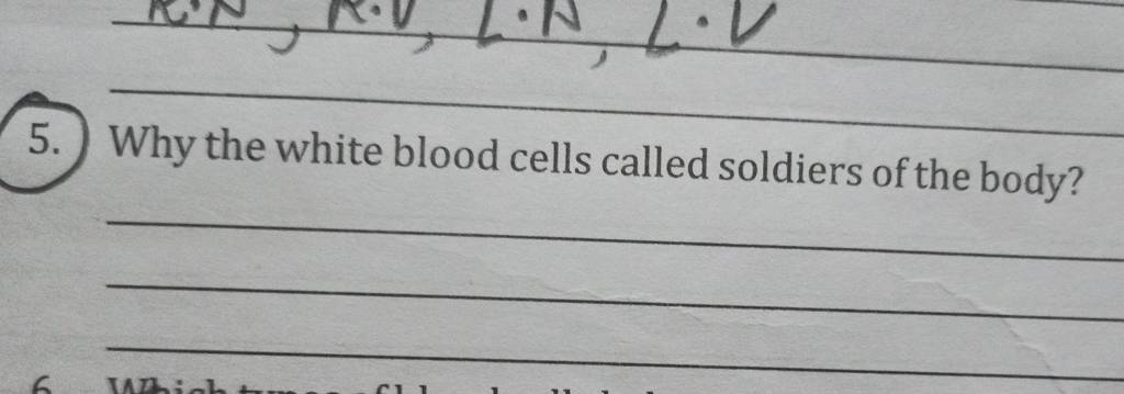 5. Why the white blood cells called soldiers of the body? | Filo