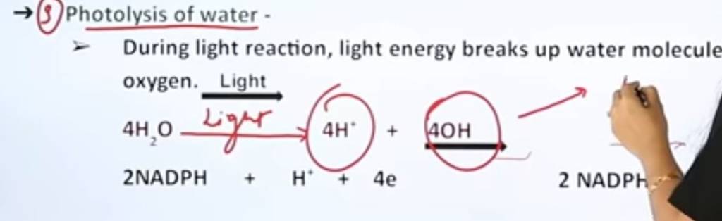→ (3) Photolysis of water- During light reaction, light energy breaks up