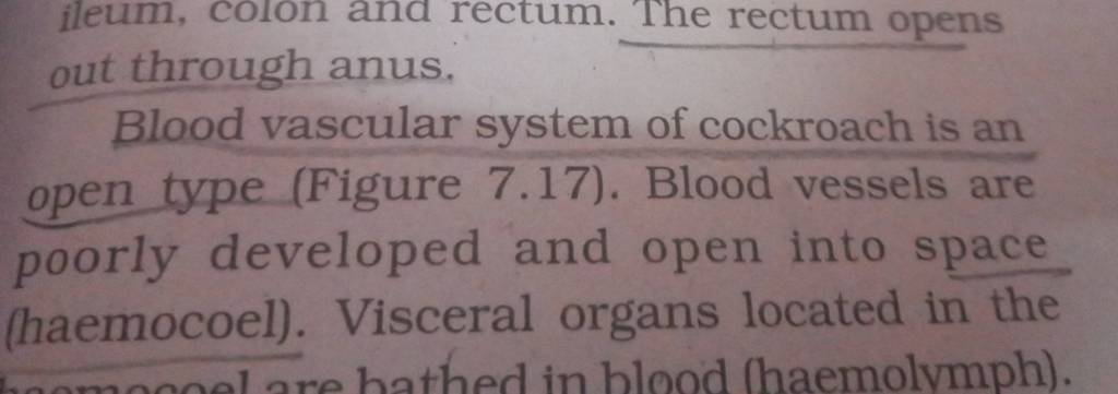 out through anus. Blood vascular system of cockroach is an open type (Fig..