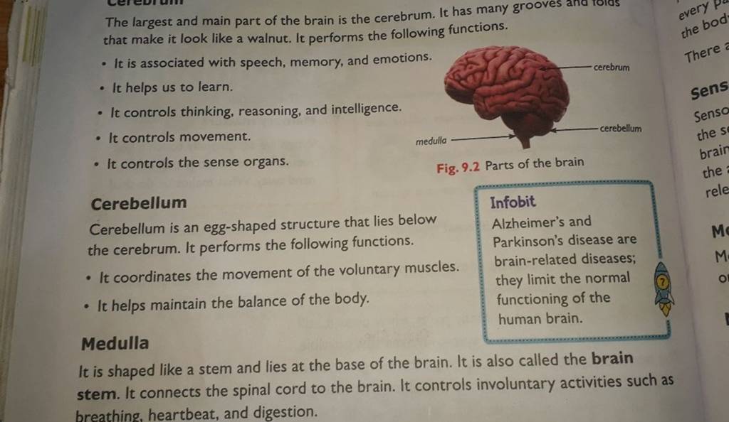 The largest and main part of the brain is the cerebrum. It has many groov..