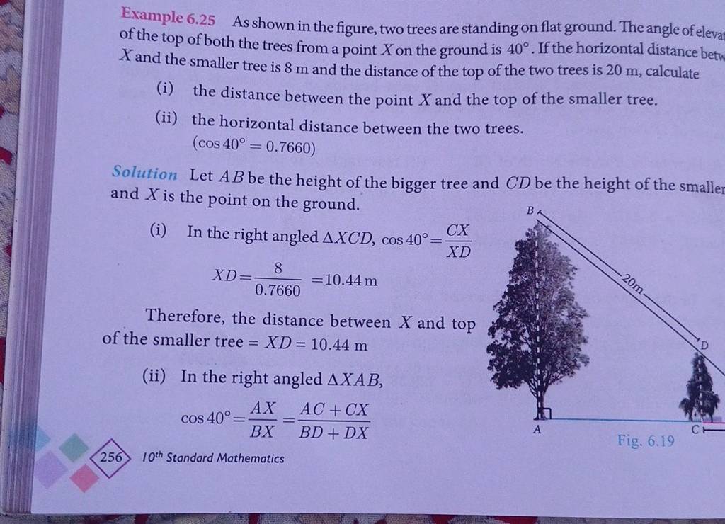 Example 6.25 As shown in the figure, two trees are standing on flat groun..