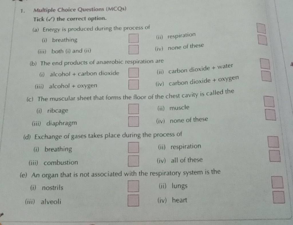 The End Products Of Anaerobic Respiration Are Filo the-end-products-of-anaerobic-respiration-are-filo