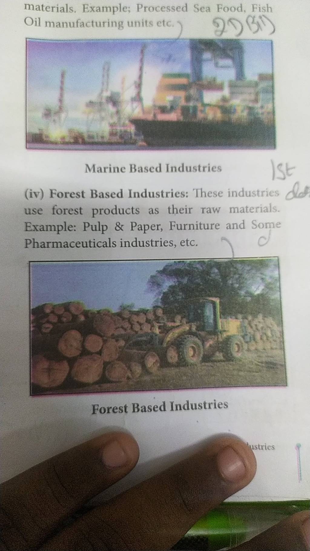 Forest Based Industries Examples