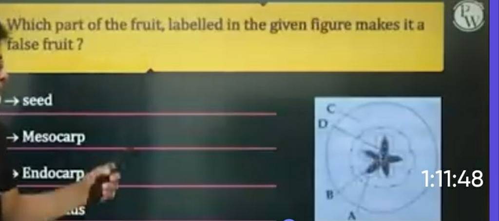 Which part of the fruit, labelled in the given figure makes it a false fr..