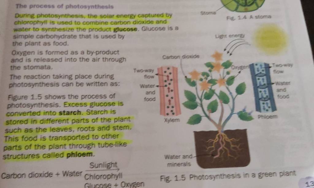 The process of photosynthesis During photosynthesis, the solar energy cap..
