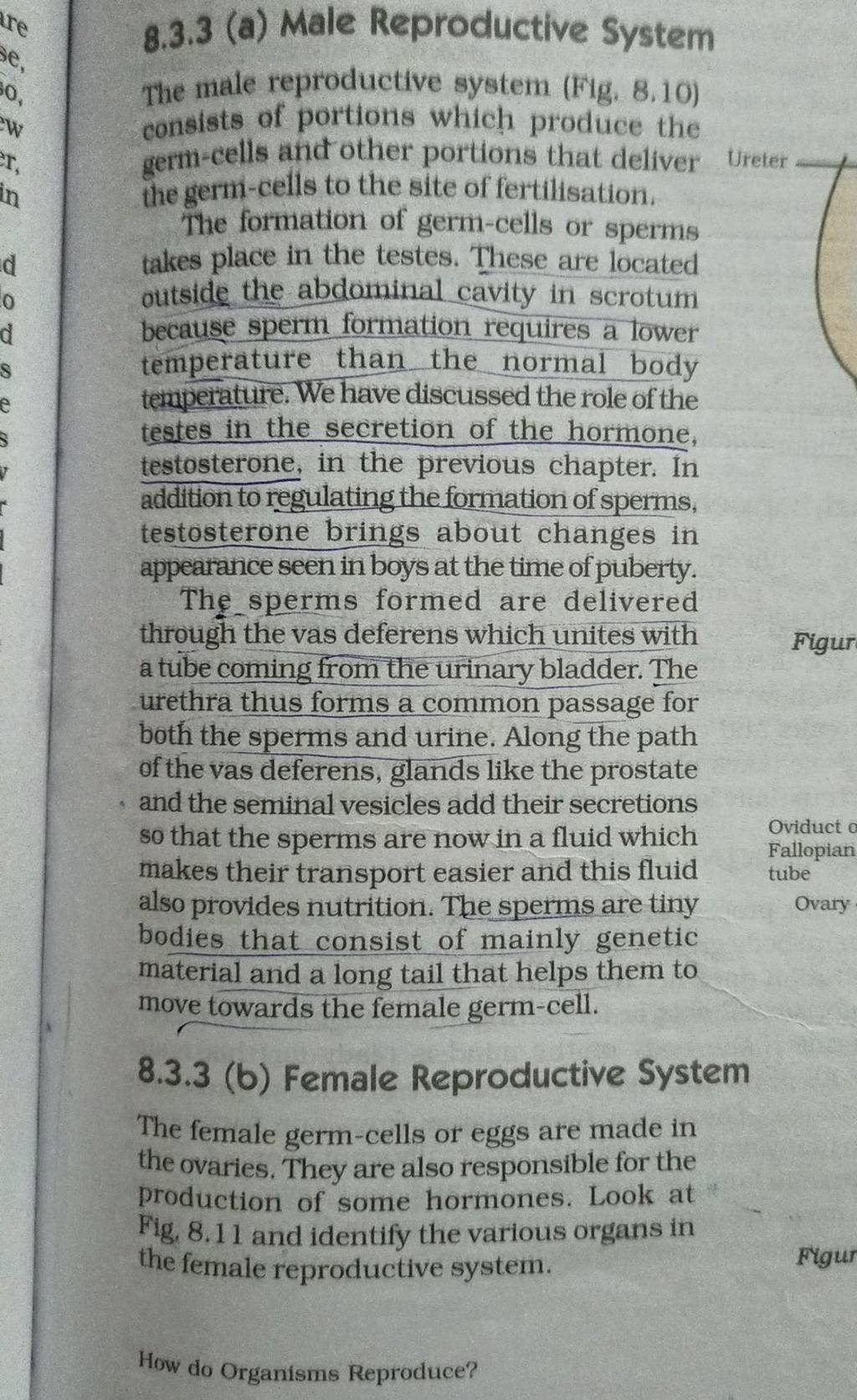 8.3.3 (a) Male Reproductive System The male reproductive system (Fig. 8.1..