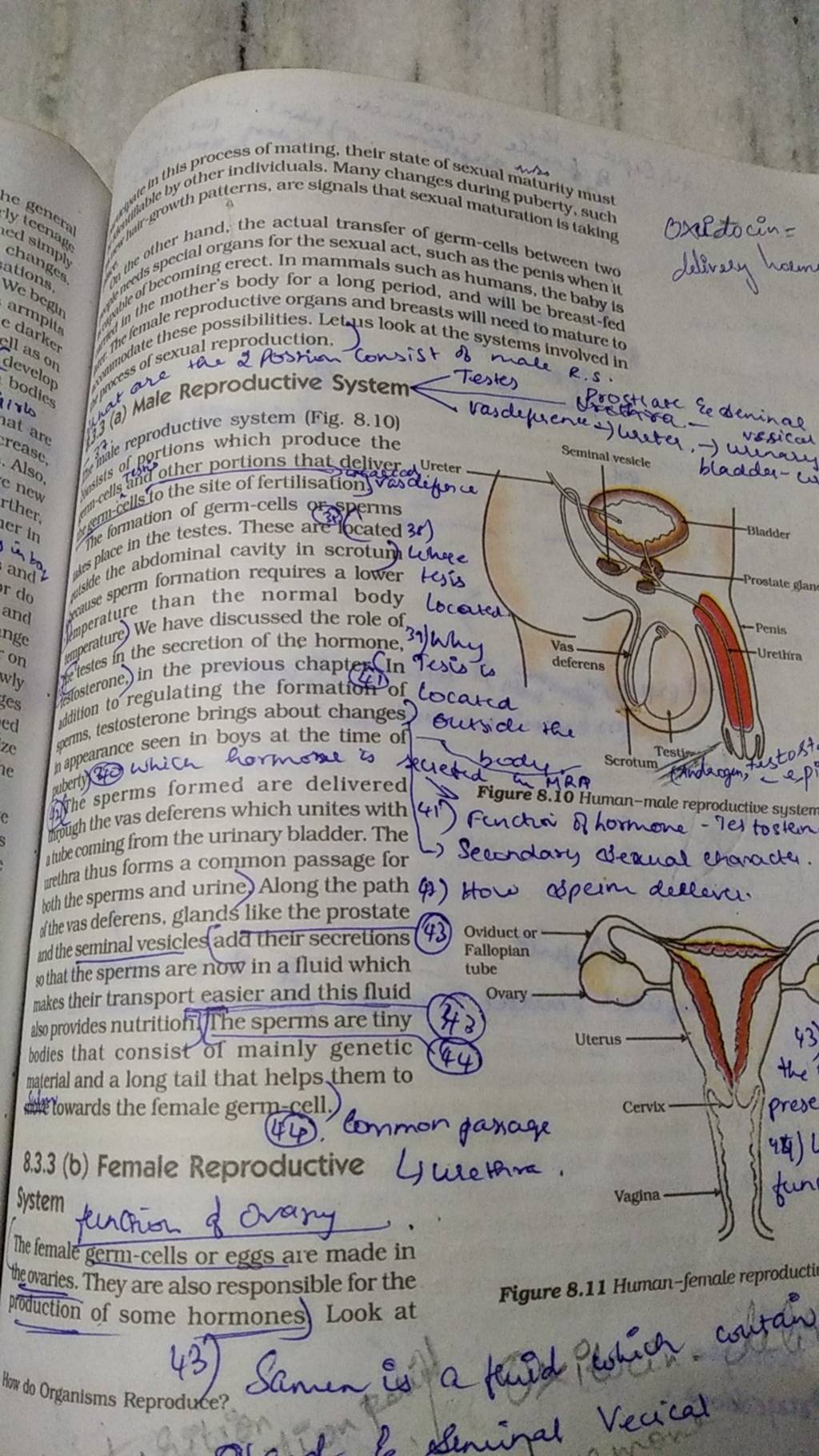 this process of mating, their state of sexual maturity must individuals.
