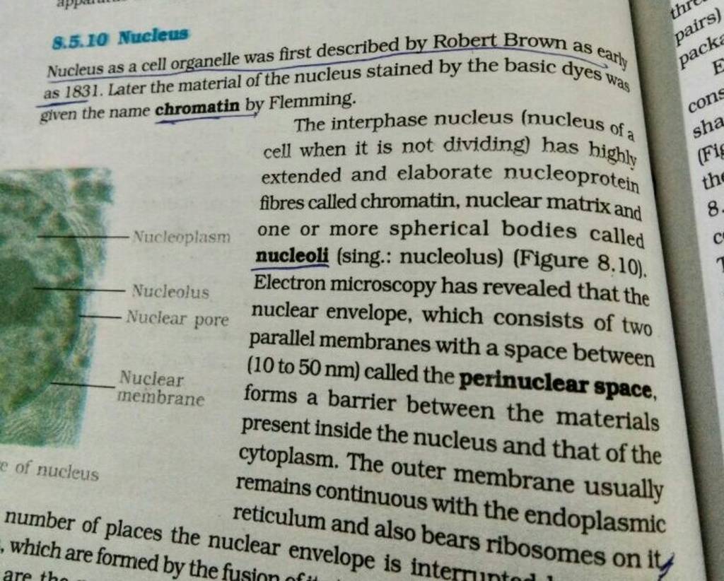 Nucleus as a cell organelle was first described by Robert Brown as early