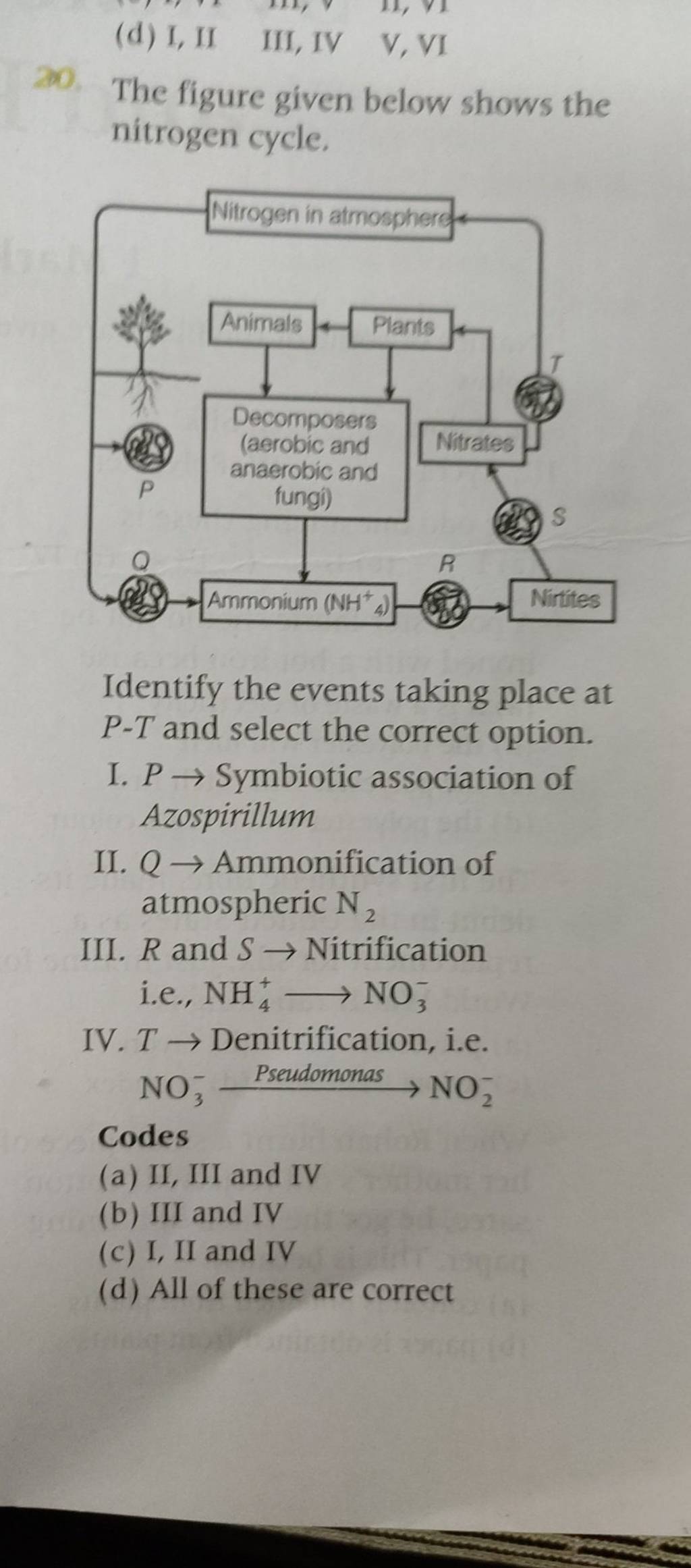 The figure given below shows the nitrogen cycle, Identify the events taki.. The figure given below shows the nitrogen cycle, Identify the events taki..