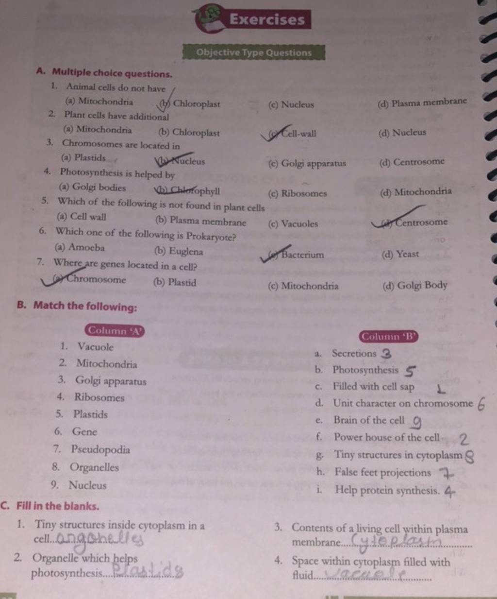 Exercises A. Multiple choice questions. 1. Animal cells do not have 2. Pl..