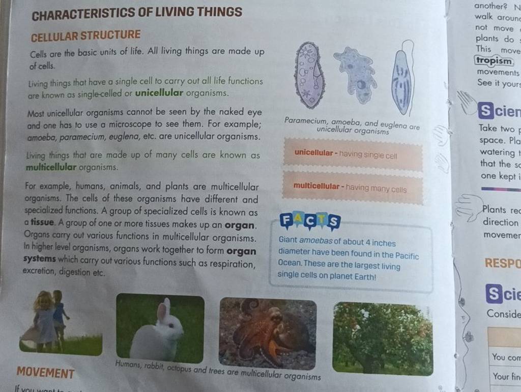 CHARACTERISTICS OF LIVING THINGS CELLULAR STRUCTURE Cells are the basic u..