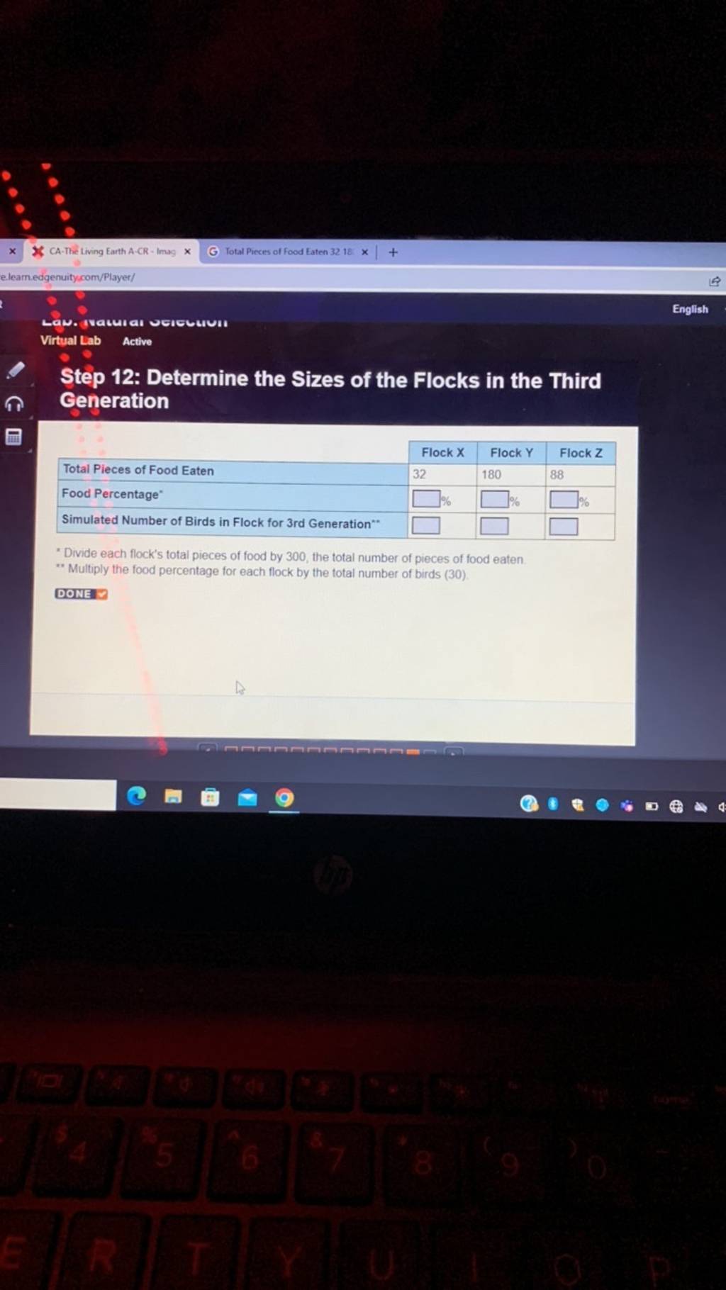 Step 12: Determine the Sizes of the Flocks in the Third Generation Total