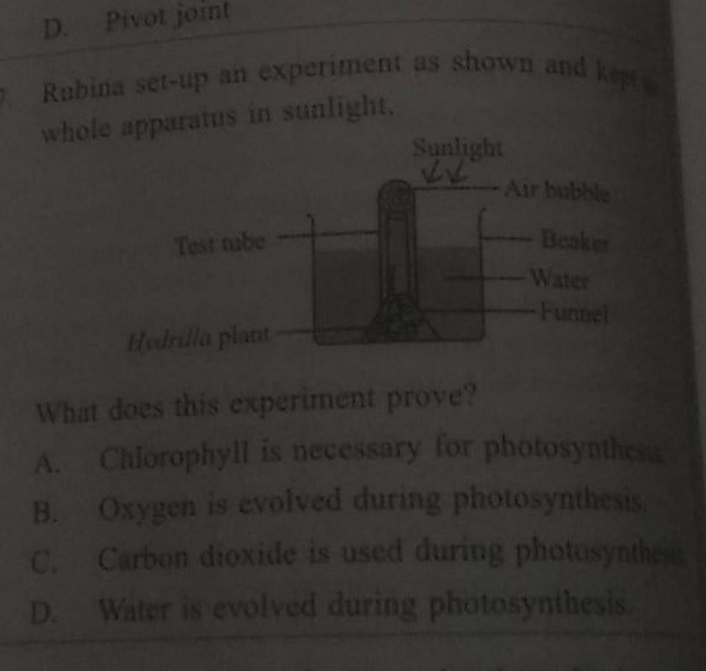 Pivot joint Rubina set-up an experiment as shown and keph whole apparatus..