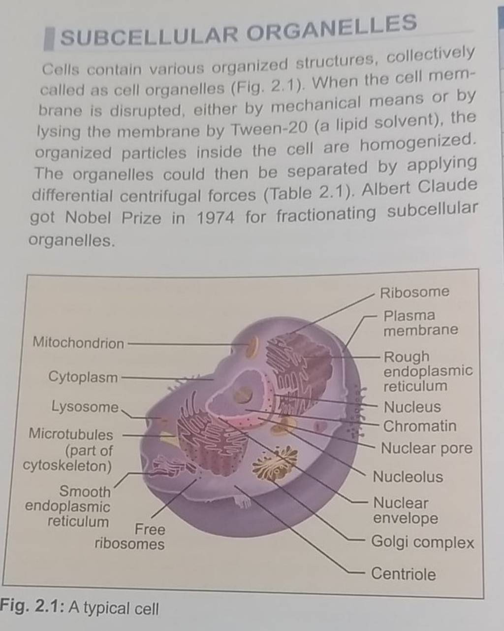SUBCELLULAR ORGANELLES Cells contain various organized structures, collec..