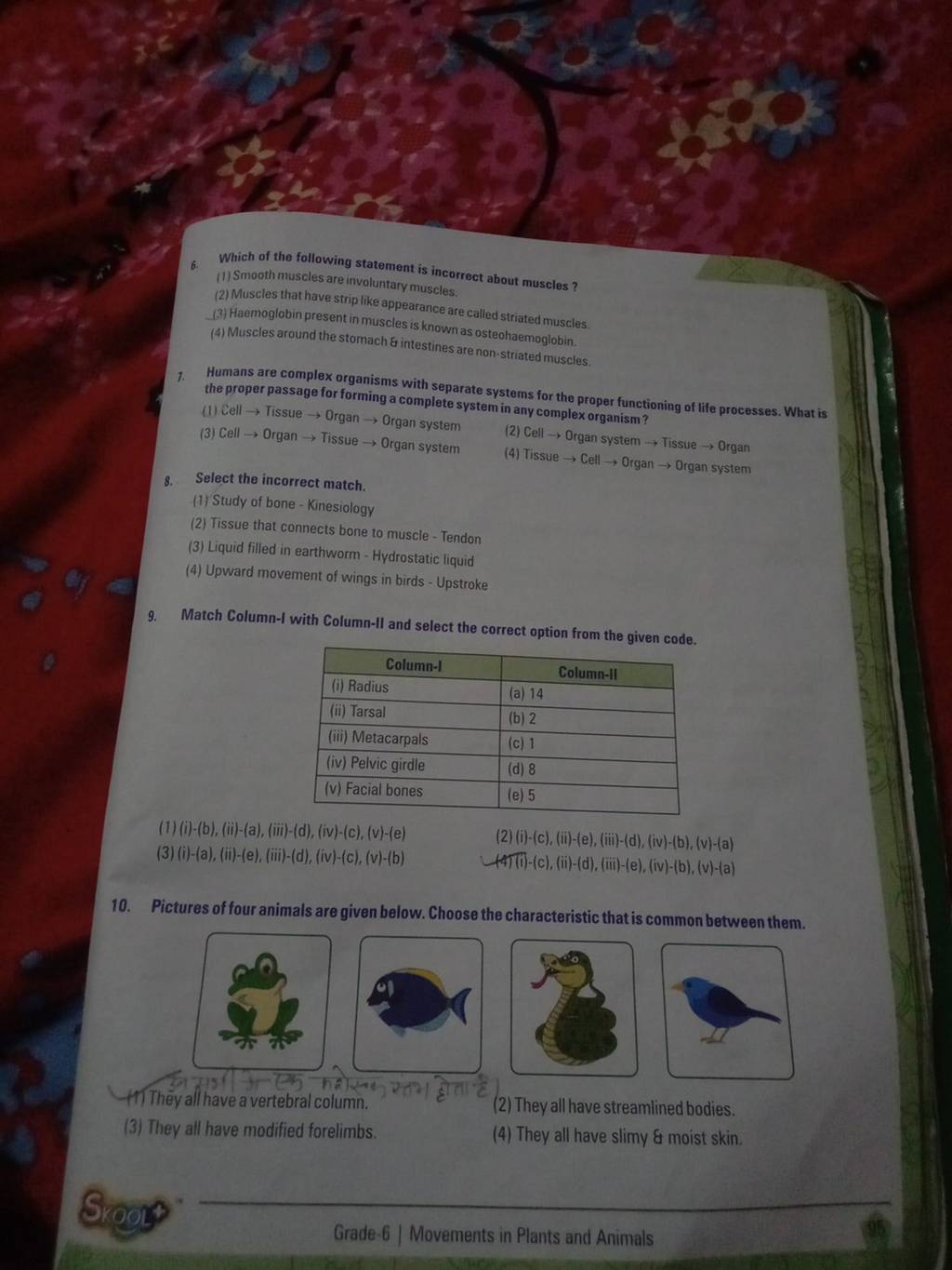 Humans are complex organisms with separate systems for the proper functio..