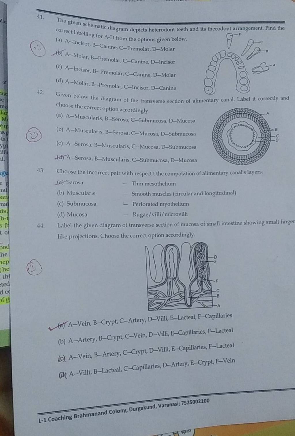 The given schematic diagram depicts heterodont teeth and its thecodont ar..