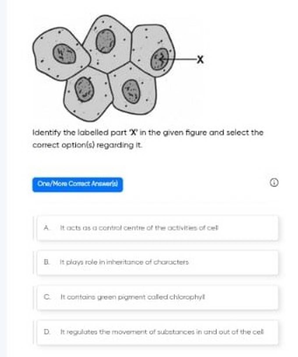 Identity The Labelled Part X In The Given Figure And Select The Corre
