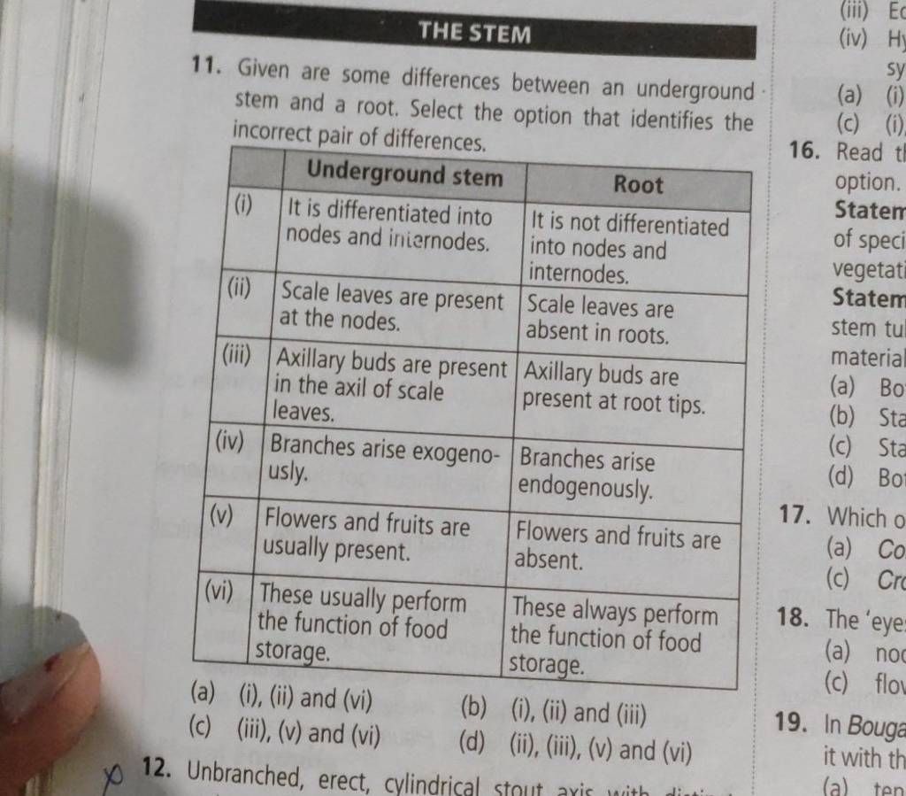 THE STEM 11. Given are some differences between an underground stem and a.. THE STEM 11. Given are some differences between an underground stem and a..