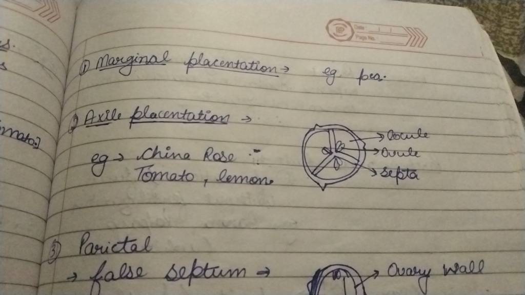 (1) Marginal placentation → eg pea. | Filo