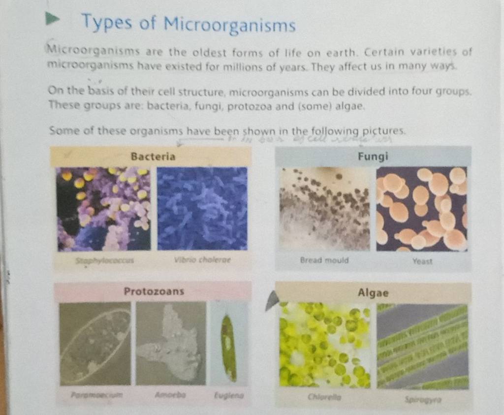 Types of Microorganisms Microorganisms are the oldest forms of life on ea..