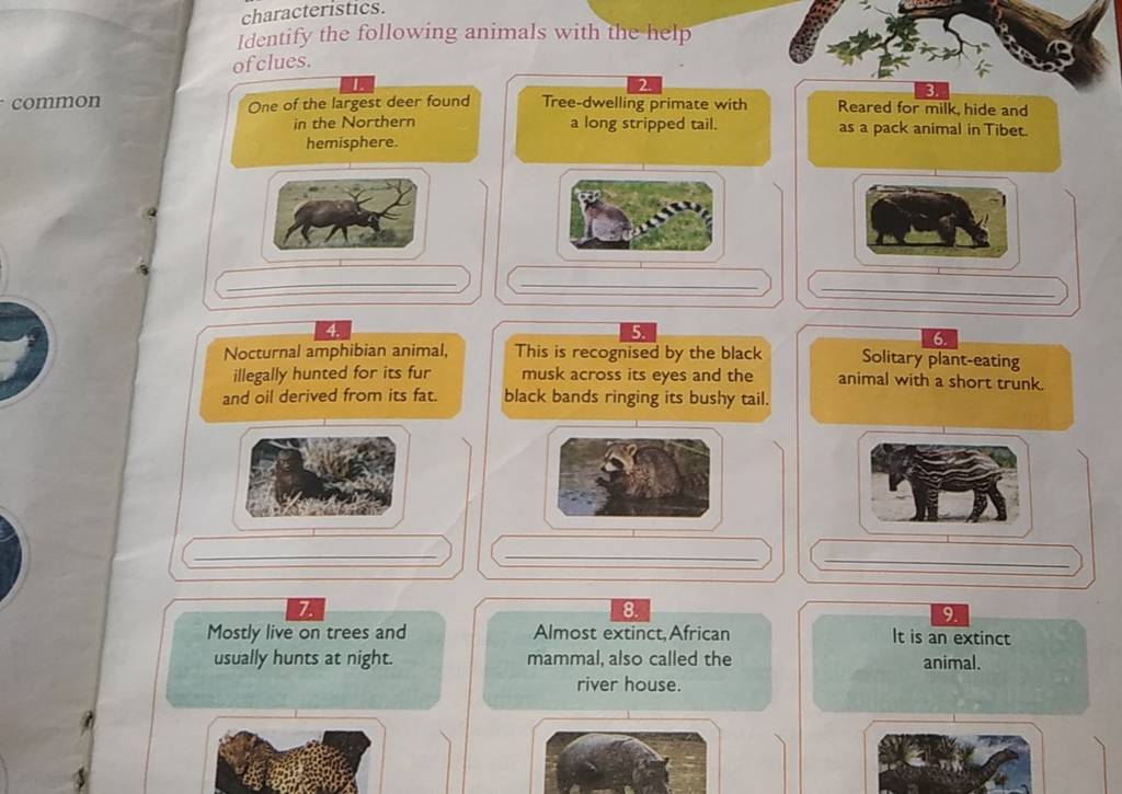 characteristics. Identify the following animals with the help of clues. c..