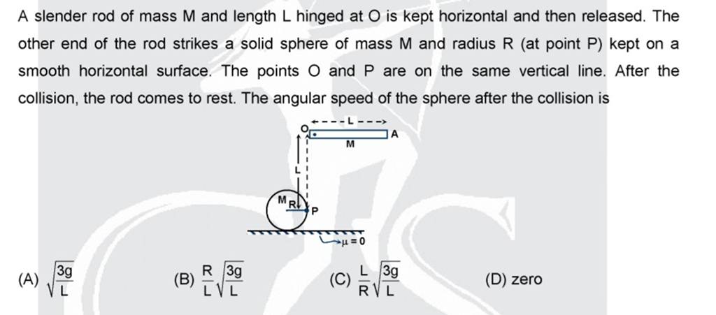 A slender rod of mass M and length L hinged at O is kept horizontal and t..