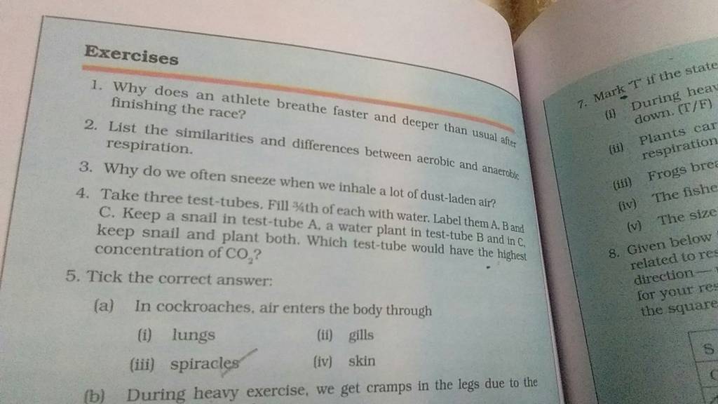 Exercises 1. Why does an athlete breathe faster and deeper than usual afl.. Exercises 1. Why does an athlete breathe faster and deeper than usual afl..