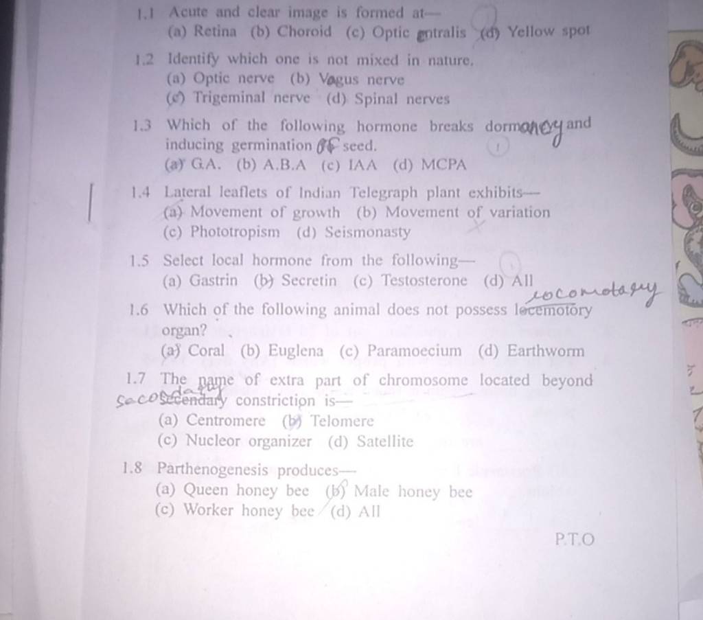 1.4 Lateral leaflets of Indian Telegraph plant exhibits- | Filo