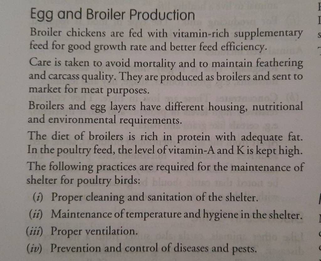 Egg and Broiler Production Broiler chickens are fed with vitamin-rich sup..