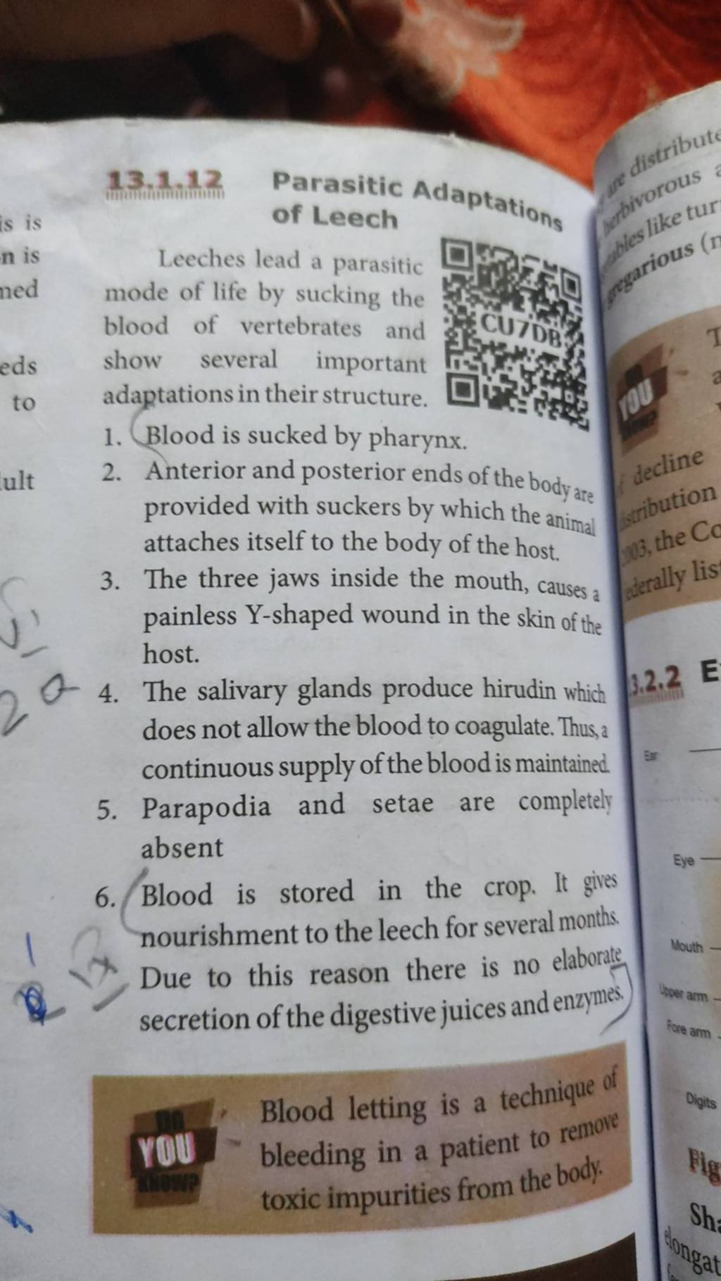 13.1.12 Parasitic Adaptations of Leech Leeches lead a parasitic mode of l..