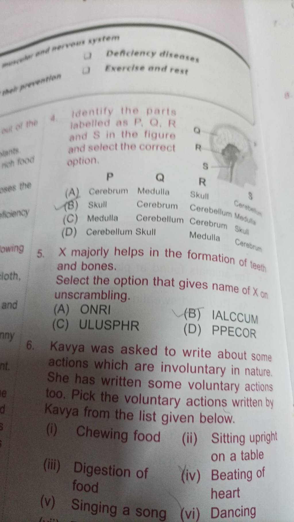 Identify the parts labelled as P,Q,R and S in the figure and select the c..
