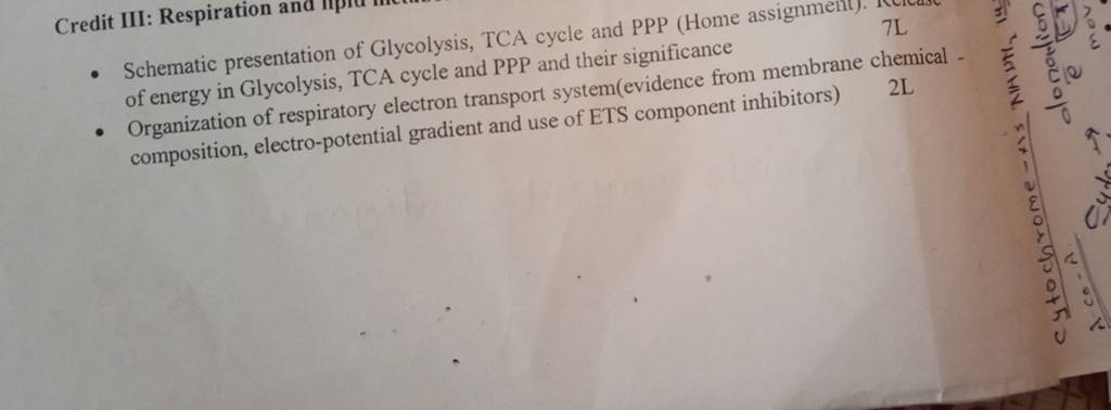 - Schematic presentation of Glycolysis, TCA cycle and PPP (Home as of ene..