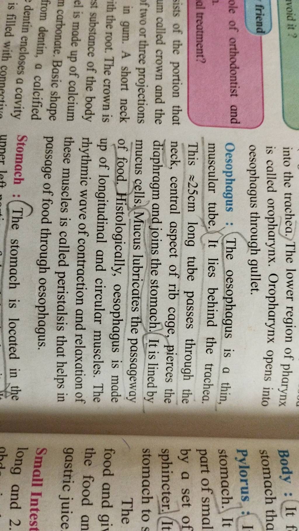 into the trachea. The lower region of pharynx is called oropharynx. Oroph..