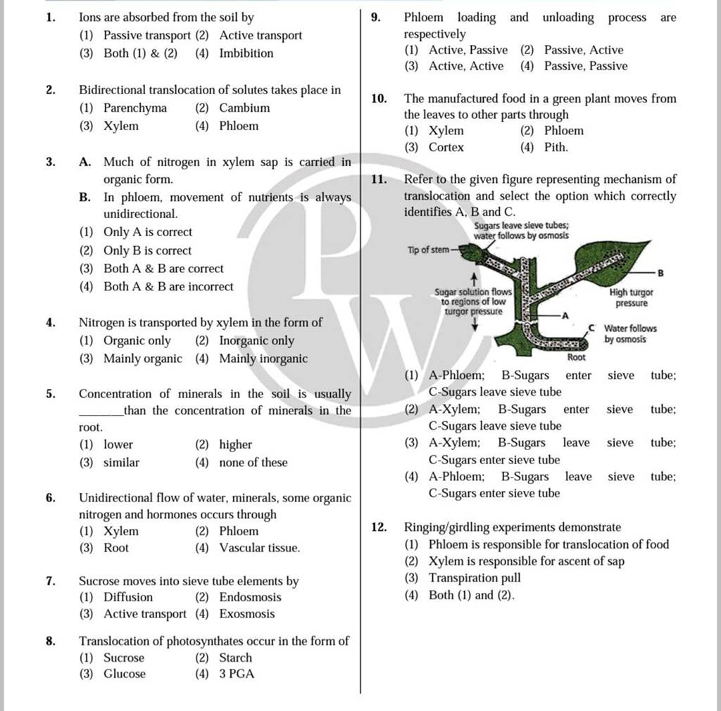 Phloem loading and unloading process are | Filo Phloem loading and unloading process are | Filo