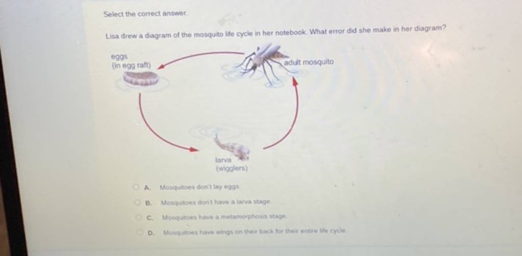 Select the correct answer. Lisa drew a dagram of the mosquito life cycle