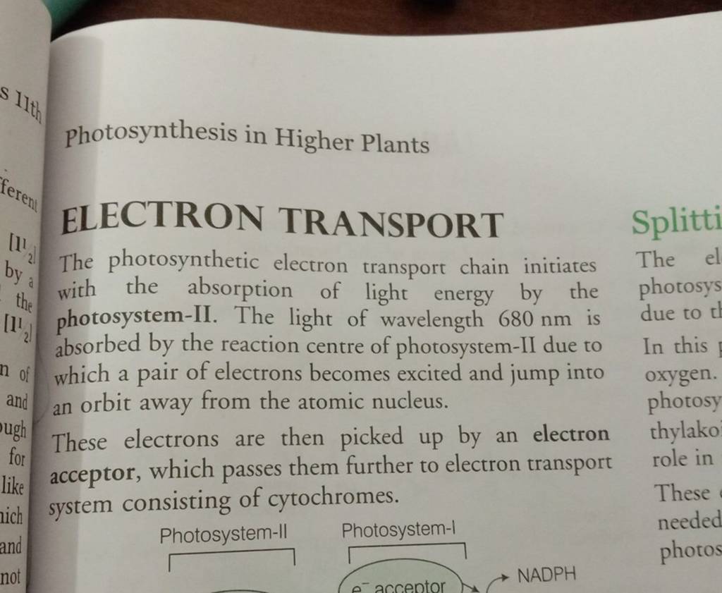 photosynthesis in Higher Plants ELECTRON TRANSPORT [1, b22 The photosynt..