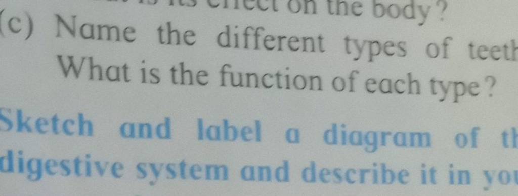 (c) Name the different types of teet What is the function of each type? S..