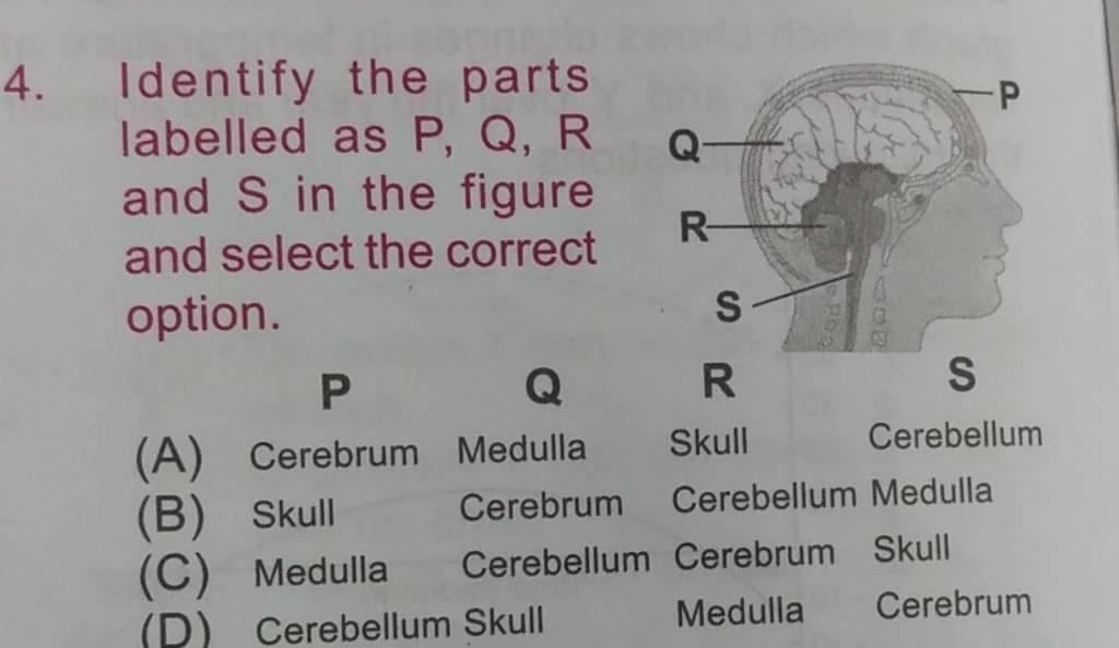 Identify the parts labelled as P,Q,R and S in the figure and select the c..