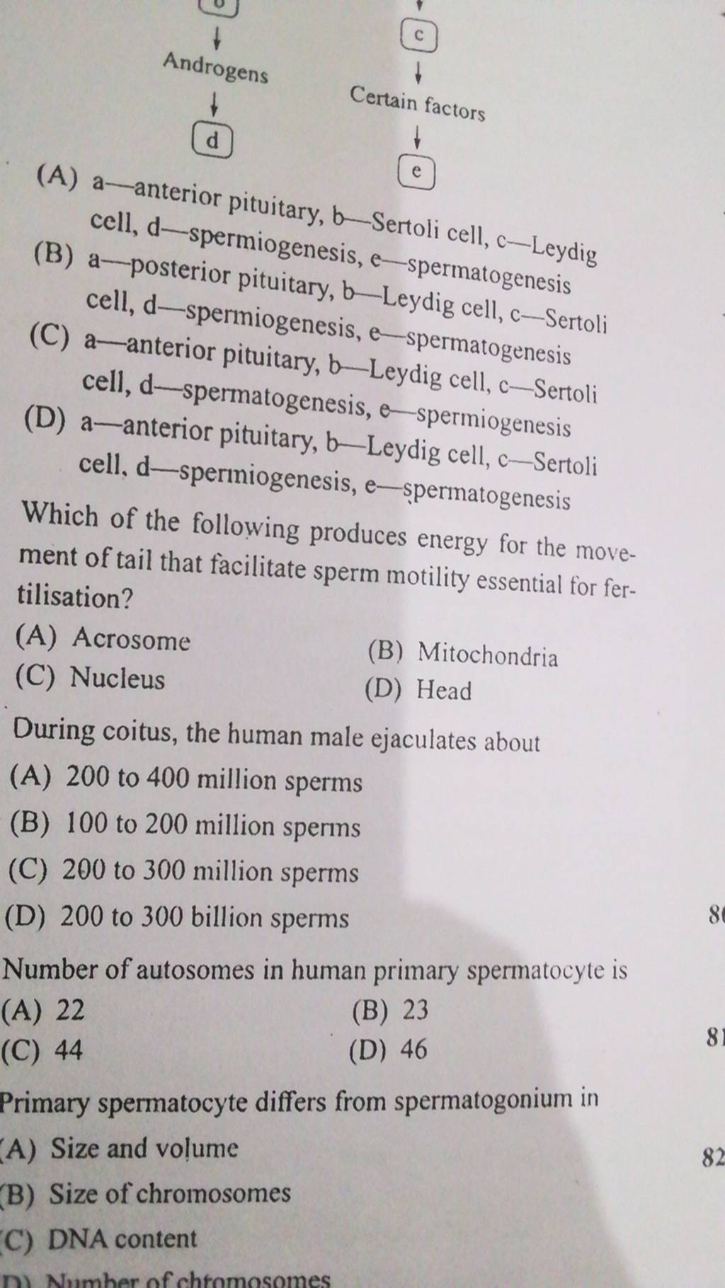 During coitus, the human male ejaculates about | Filo