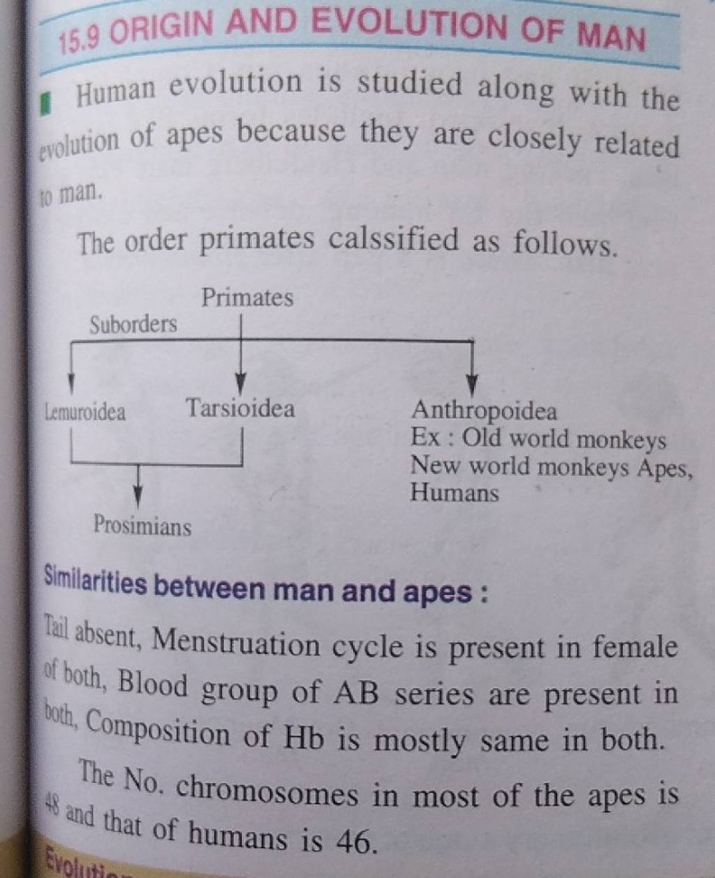15.9 ORIGIN AND EVOLUTION OF MAN Human evolution is studied along with th..