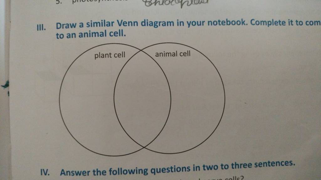 Animal And Plant Cell Venn Diagram