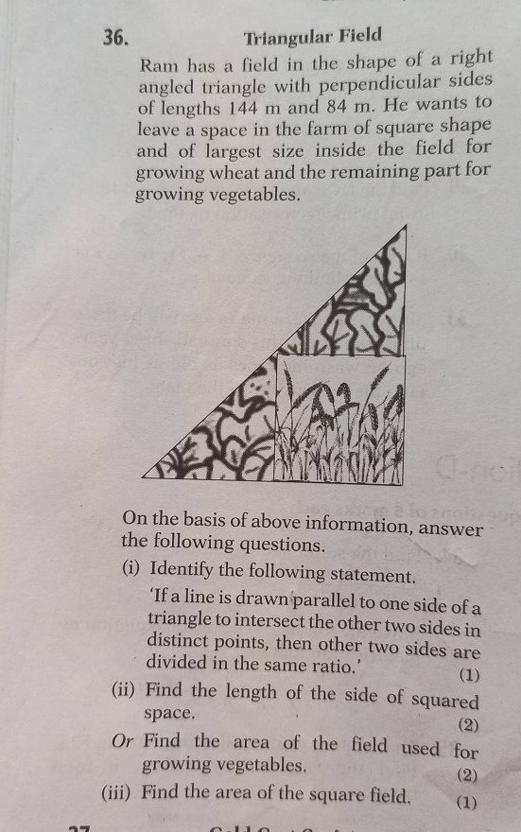36. Triangular Field Ram has a field in the shape of a right angled trian..
