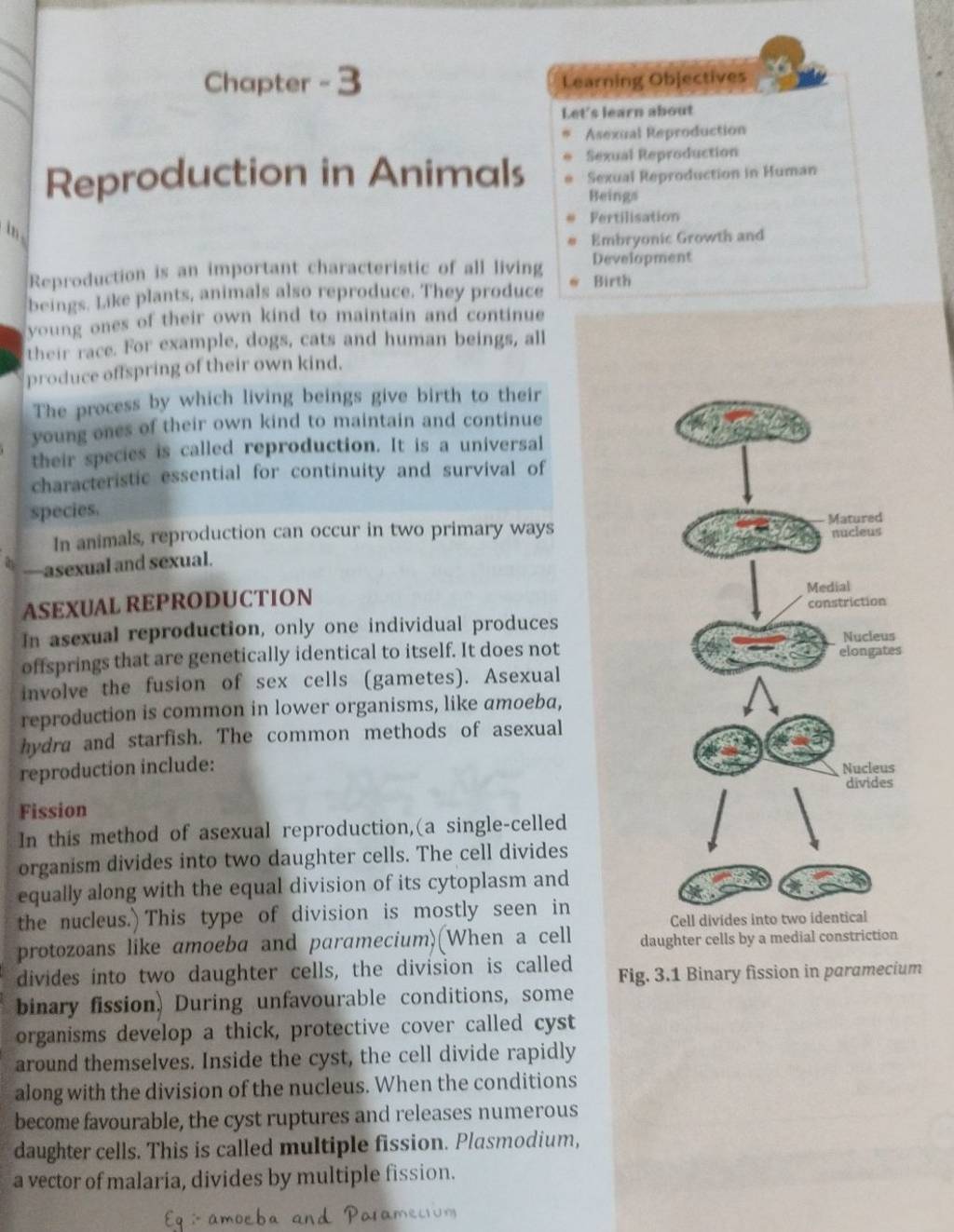 - Sexual Reproduction in Human Reproduction in Animals Heings - Pertilisa..