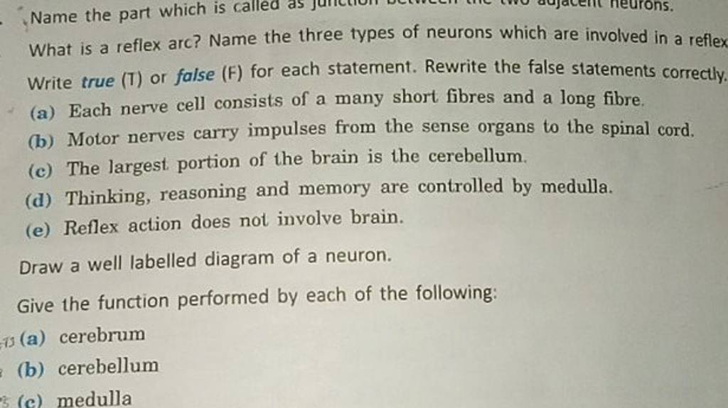 Draw a well labelled diagram of a neuron. Give the function performed by