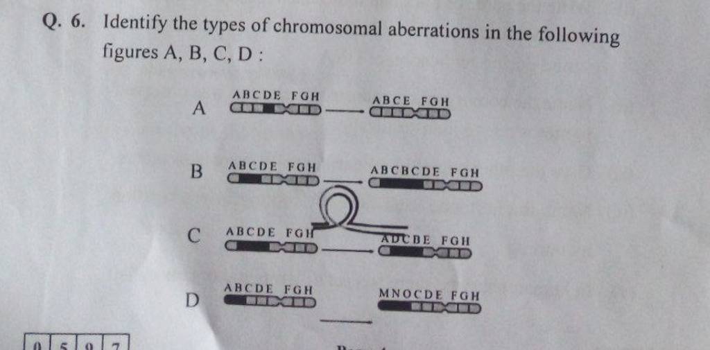 Q. 6. Identify the types of chromosomal aberrations in the following figu..
