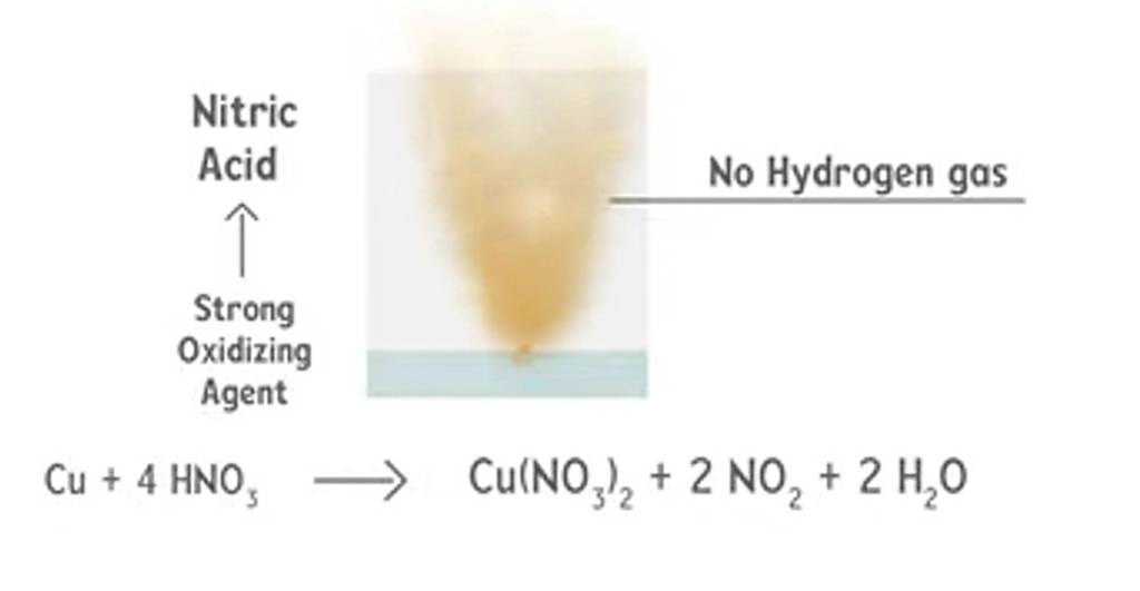 Nitric Acid Strong Oxidizing Agent Cu + 4 HNO, No Hydrogen gas → Cu(NO3)₂..